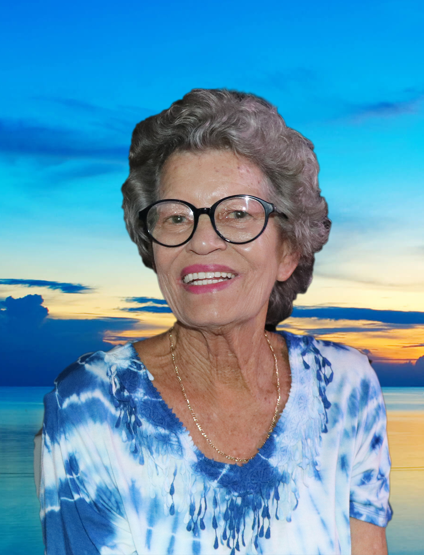 In loving memory of Patricia Sevcik - Obituary Baldwin Brothers